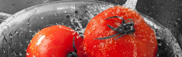 Sustainability Standards - PECB