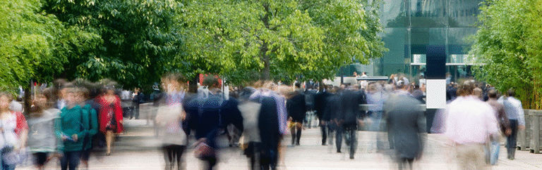 Sustainability Standards - PECB